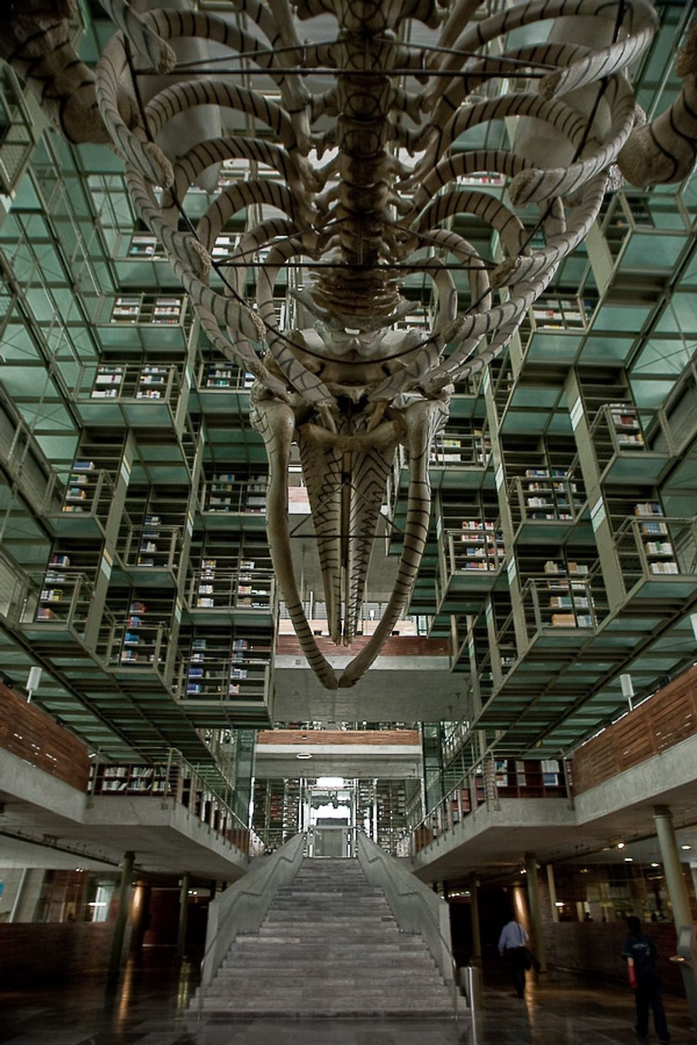 Spotlight on Mexico City: Biblioteca Vasconcelos