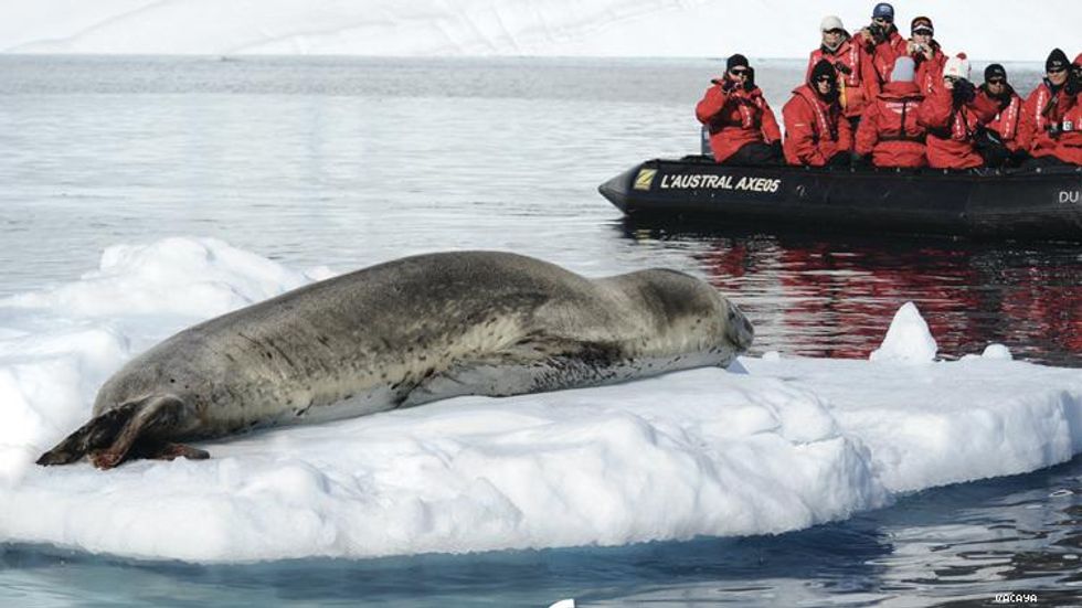 Why VACAYA Thinks Travel Can Change the World